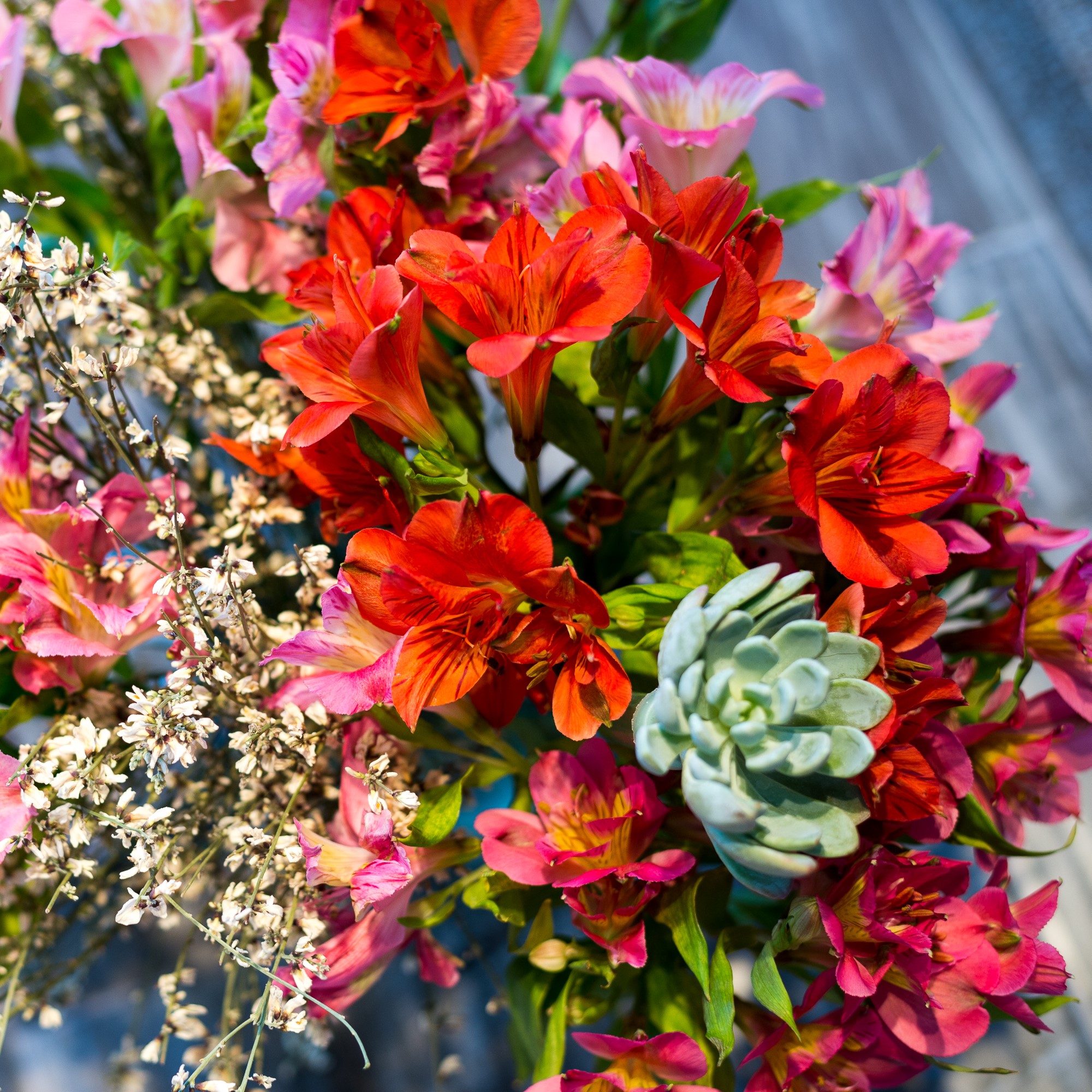Style Is A Mood ⋆ Bouqs - Use Flowers to Bring Color to Your Home